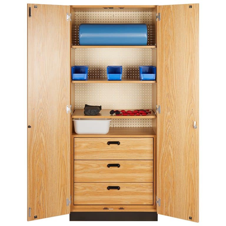 Thera-Wall™ Therapy Storage System - Hausmann Industries